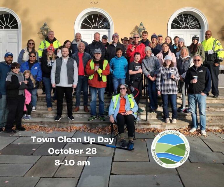 Middleburg Fall Town Clean Up Day