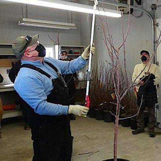 Basics of Pruning - Visit Middleburg Virginia