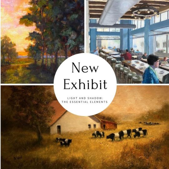 "Light and Shadow" Exhibit - Visit Middleburg Virginia