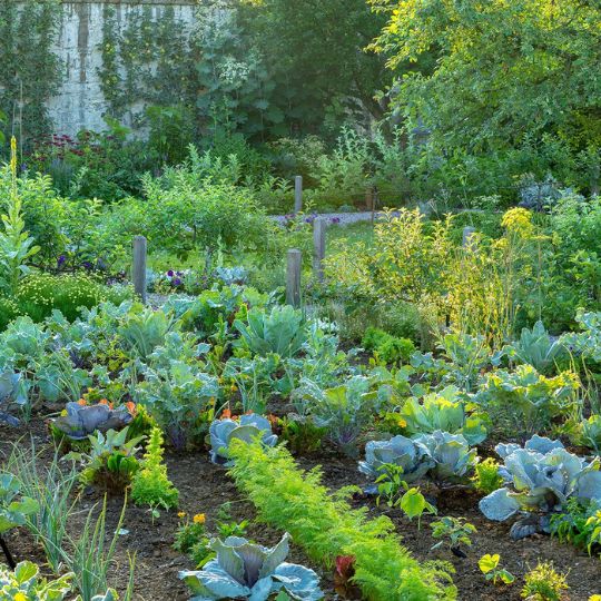 Oak Spring Garden Tour: Explore Bunny Mellon's Legacy - Visit ...