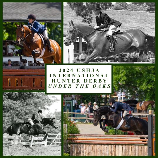 $25,000 Upperville USHJA International Hunter Derby - Visit Middleburg ...