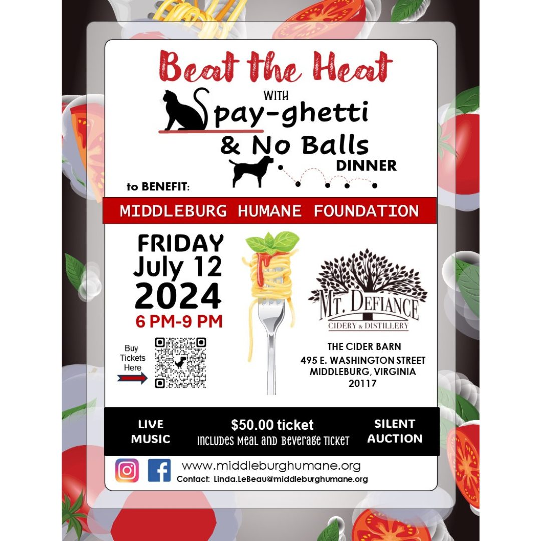 Beat The Heat! SPAY-GHETTI with No BALLS Fundraising Dinner - Visit ...