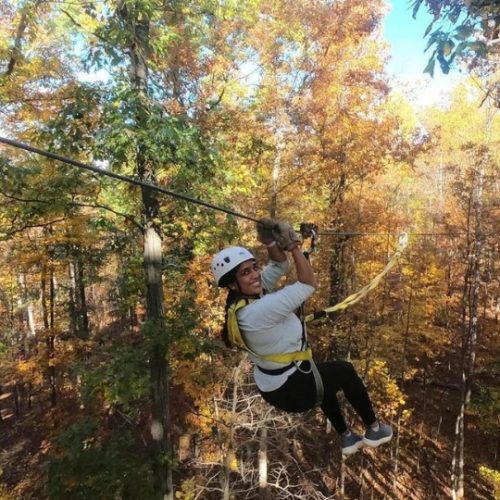 Fall Foliage Tours - Visit Middleburg Virginia