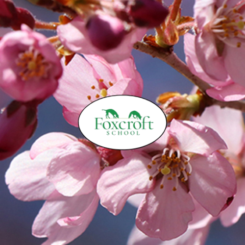Foxcroft Reunion Weekend - Visit Middleburg Virginia