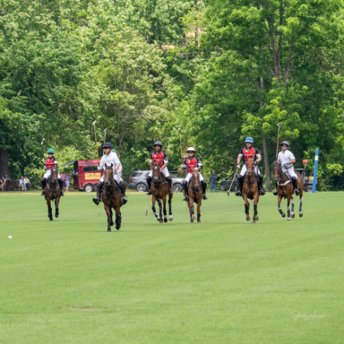 Slater Run Vineyards Father's Day Polo & Asado - Visit Middleburg Virginia